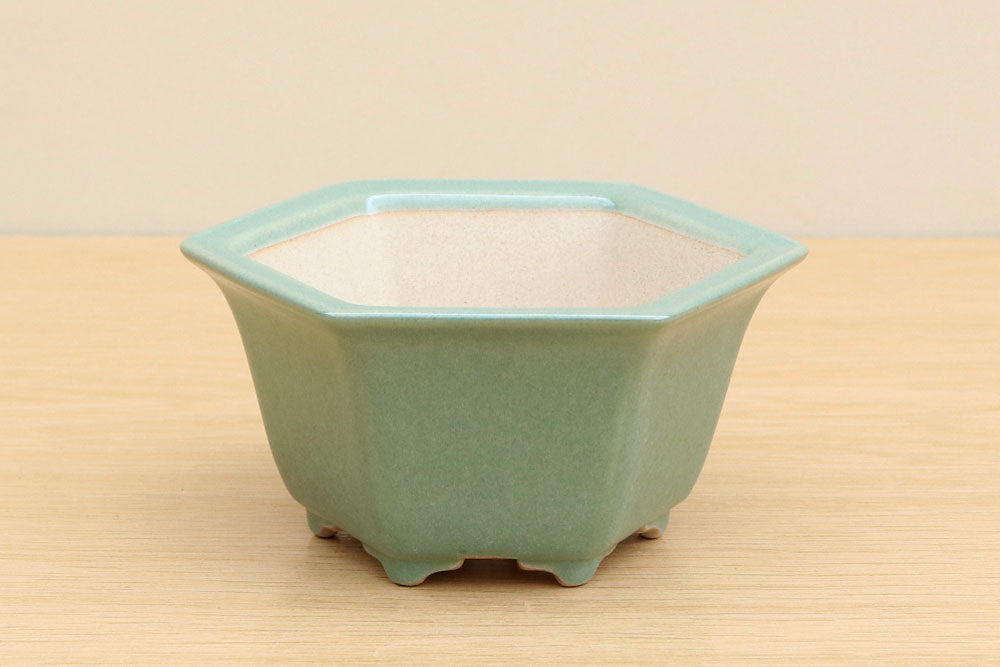 (A) High-quality Glazed Hexagonal Bonsai Pot - 5" Sage Green ...