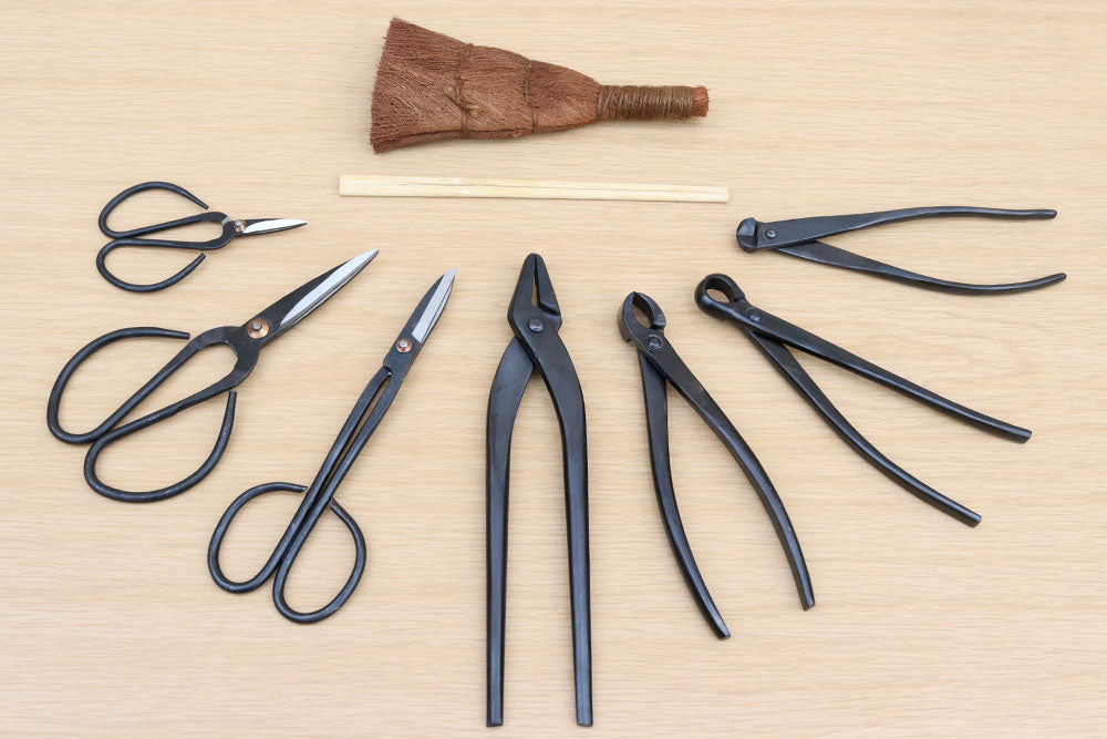 (M3) Bonsai Beginner Tool Set – Derbyshire Bonsai