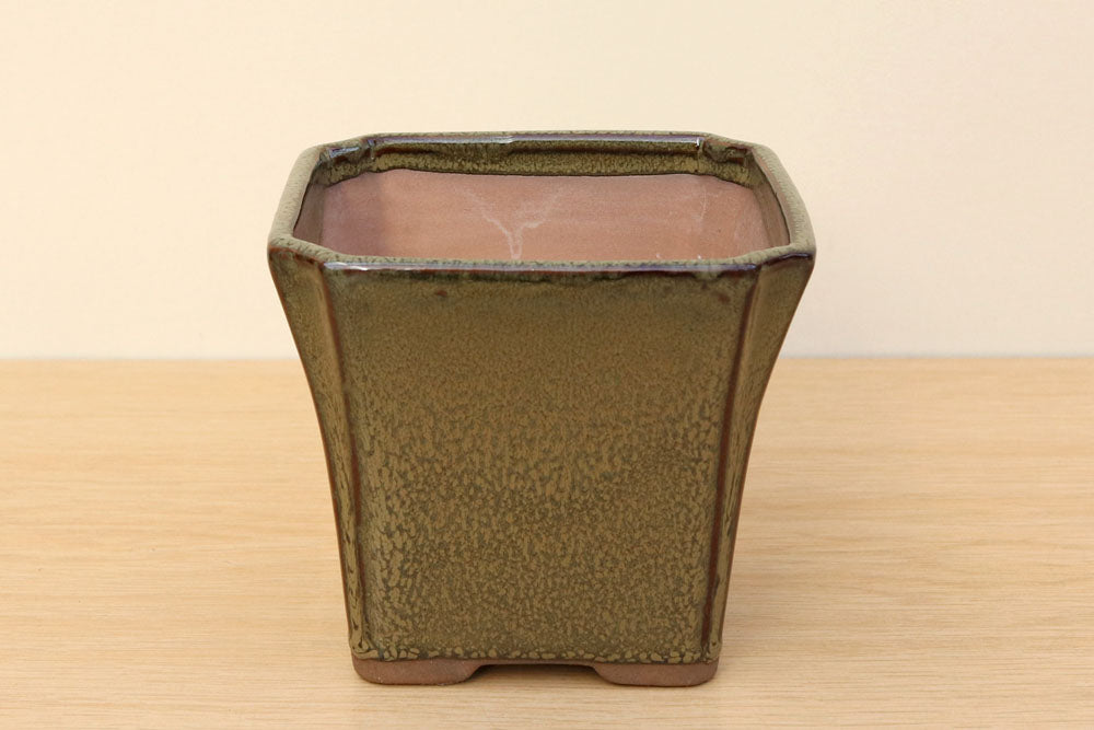 (A) Glazed Square Cascade Bonsai Pot - 5" Mottled Green – Derbyshire Bonsai