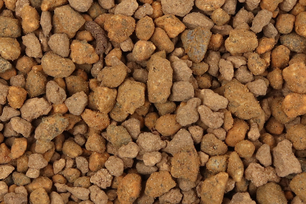 (A) Premium Bonsai Compost Mix (2L) – Derbyshire Bonsai